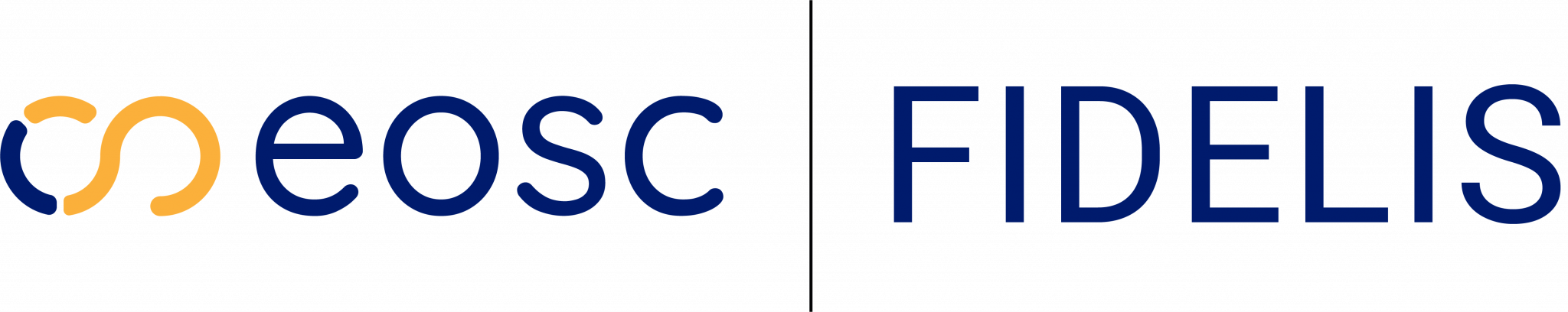 Nine new Horizon Europe INFRAEOSC projects to launch in 2025 - EOSC Association